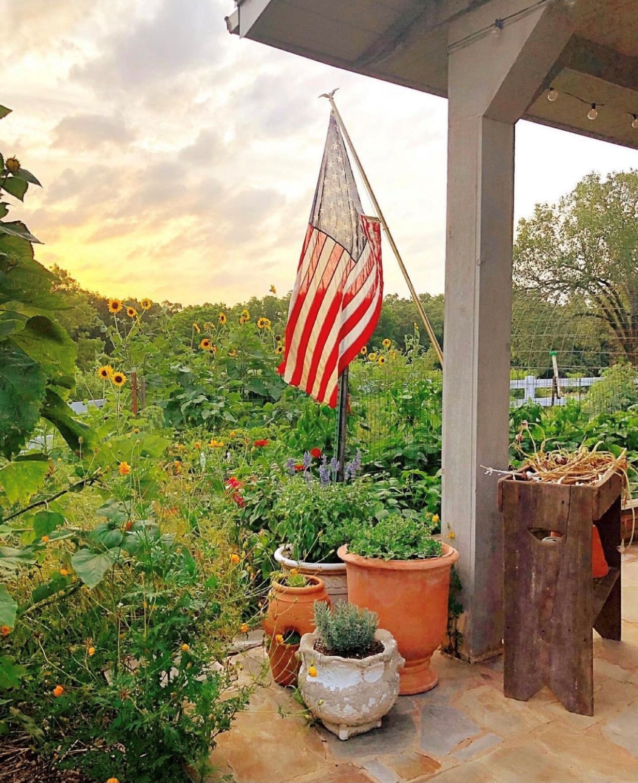 Home & Garden Archives - Penny Pennington Weeks