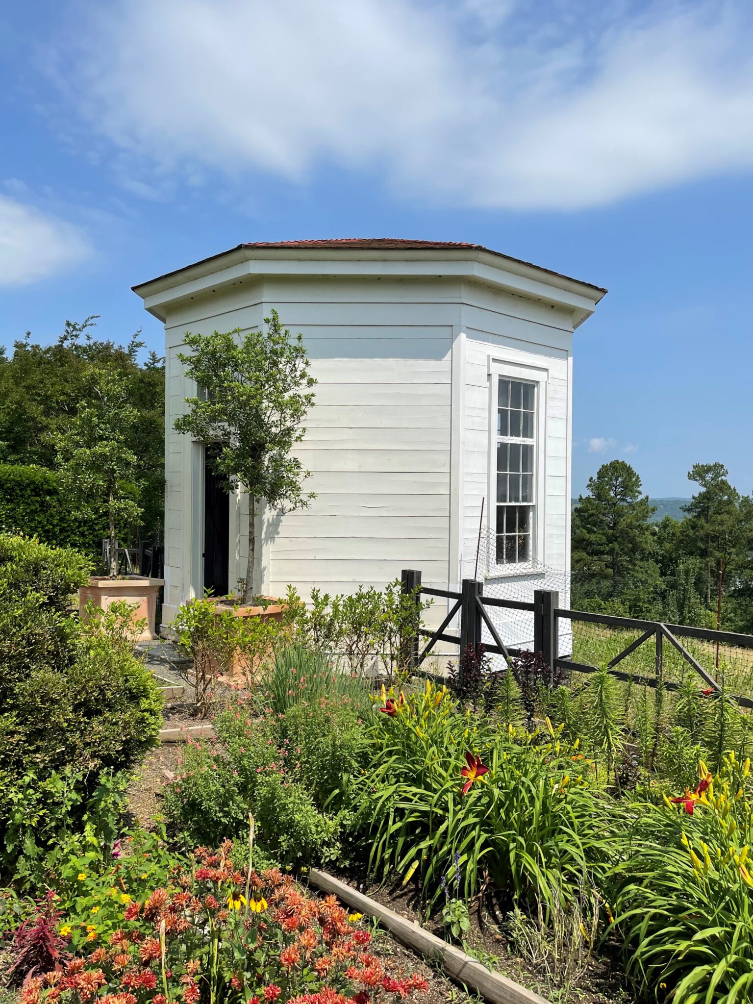 Penny Pennington Weeks