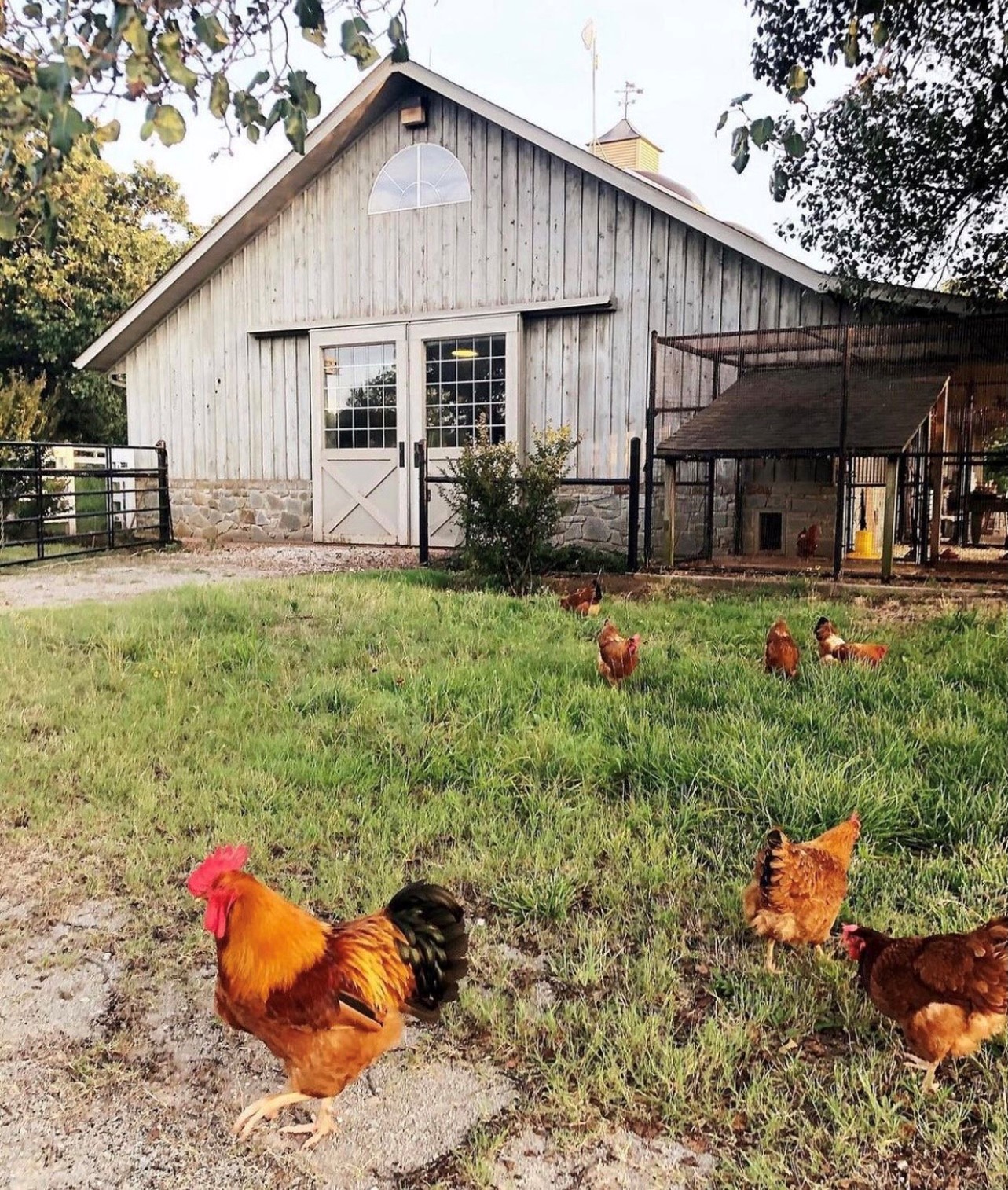 The Best Custom Chicken Coops on Instagram - Penny Pennington Weeks