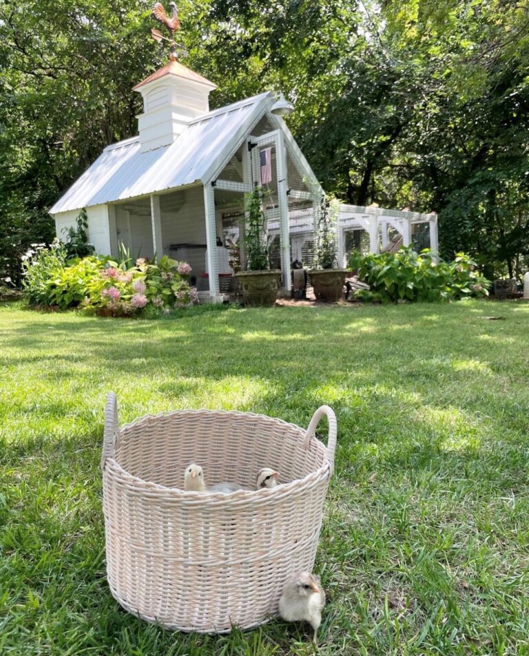 The Best Custom Chicken Coops on Instagram - Penny Pennington Weeks