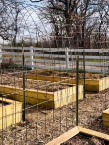 How to Build Simple Garden Trellises between Raised Beds - Penny ...